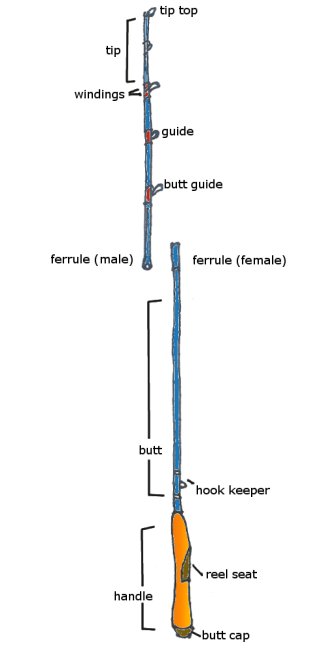 the best of fishing activities.: Fishing Rods